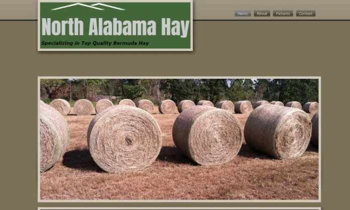 Where To Buy Hay Bales Near Me: 24 Best Places
